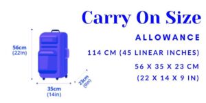 Delta Airlines Baggage Allowance 2024 carry on size & rules