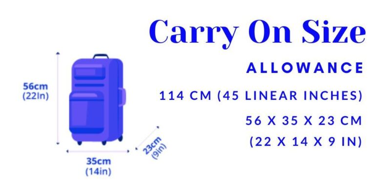 Delta Airlines Baggage Allowance 2024 carry on size & rules