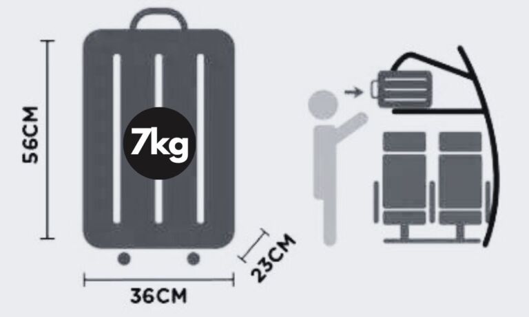 Philippine Airlines Baggage Allowance 2024 Policy & Fees