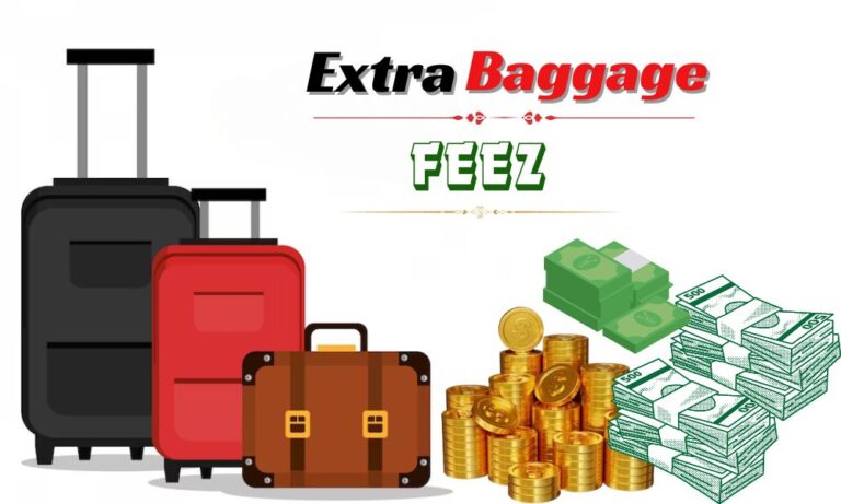HK Express Baggage Allowance Fees and Policy 2024